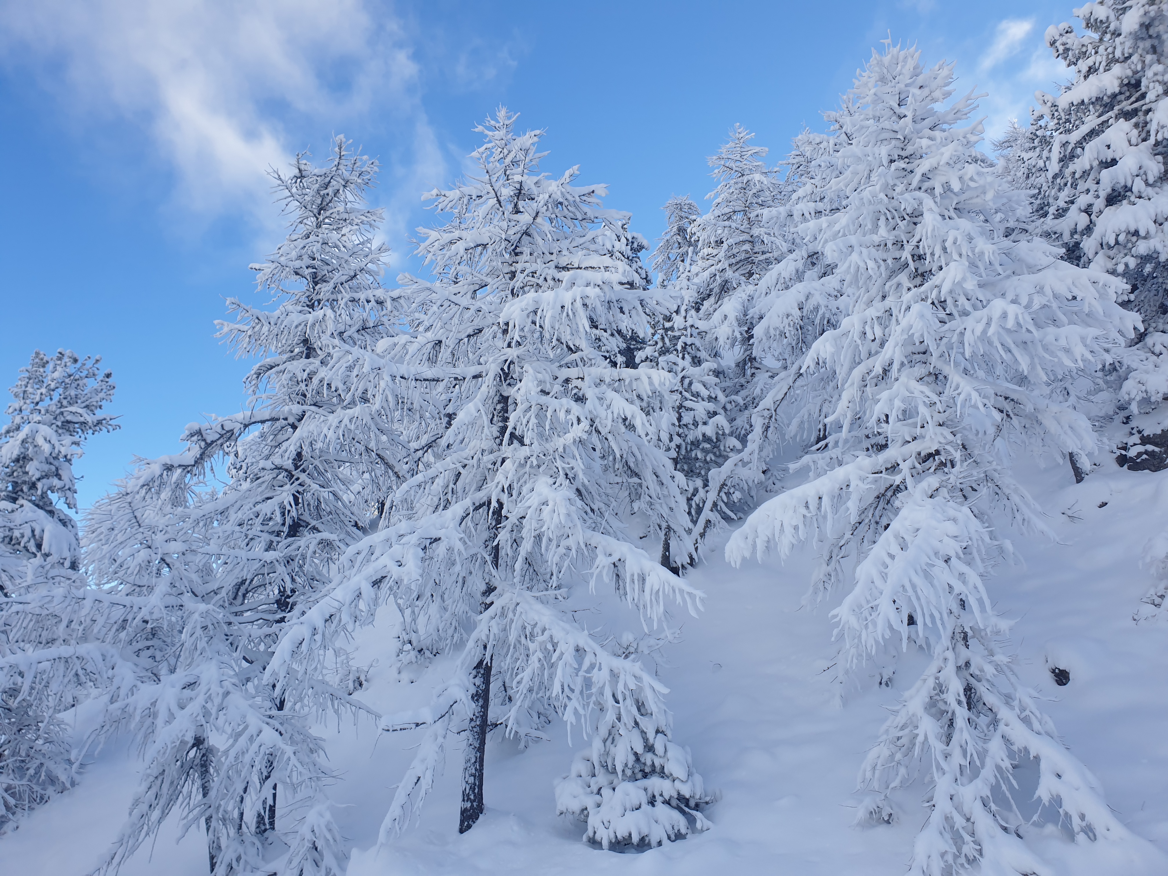Montgenèvre France | Ski Miquel